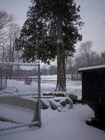 { davidsylvian.com } Photographs vol 19